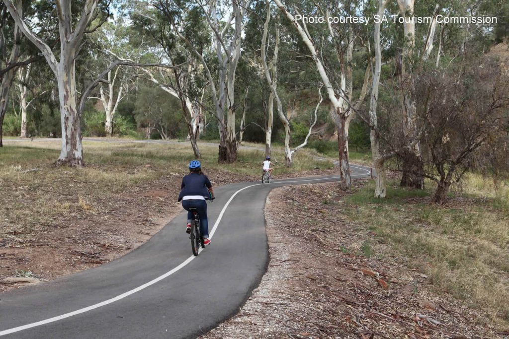 Bike and Walking Trails | Big4 Barossa Tourist Park
